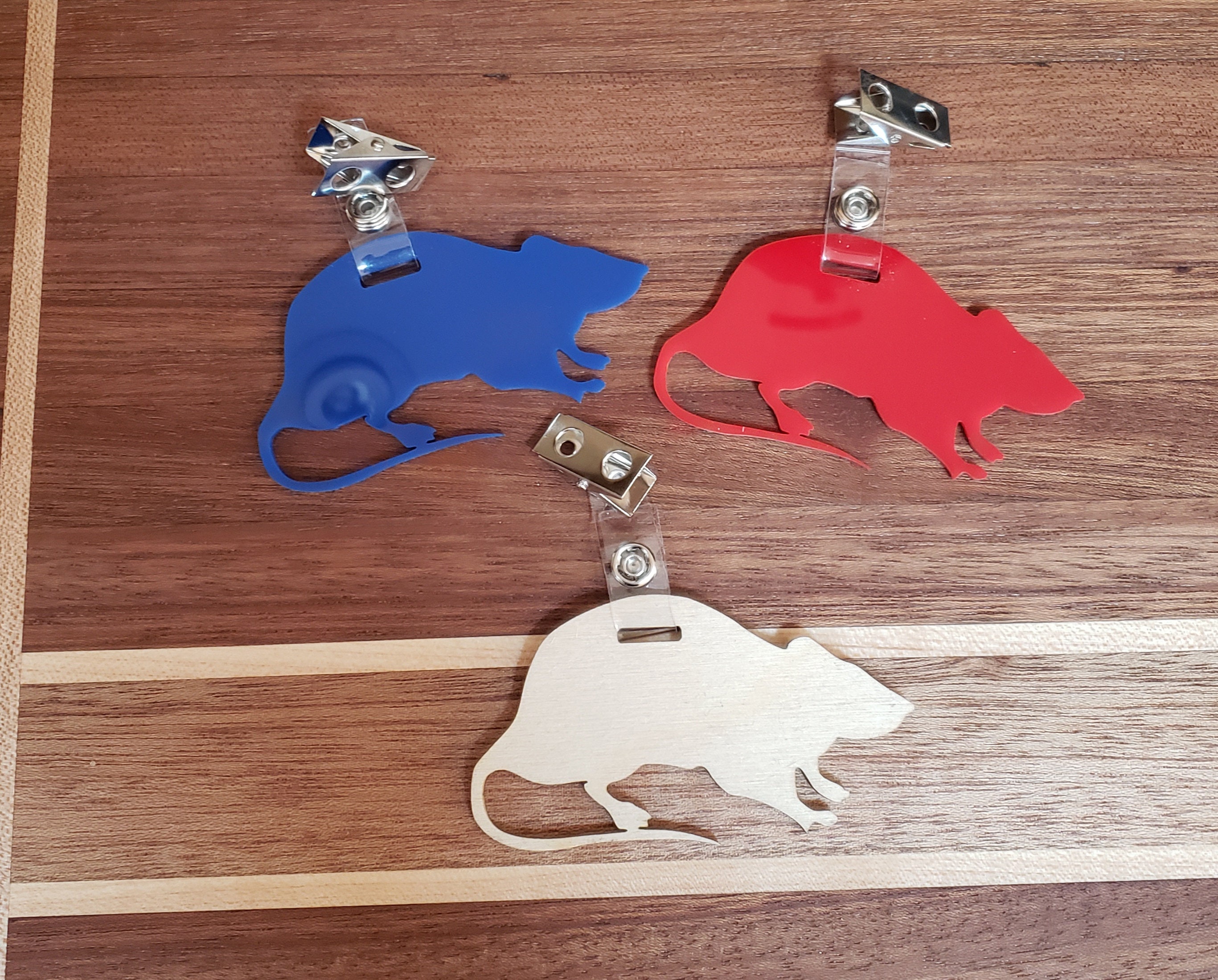 Snake Tags for Caging - Customizable and Stylish Reptile Enclosure ...