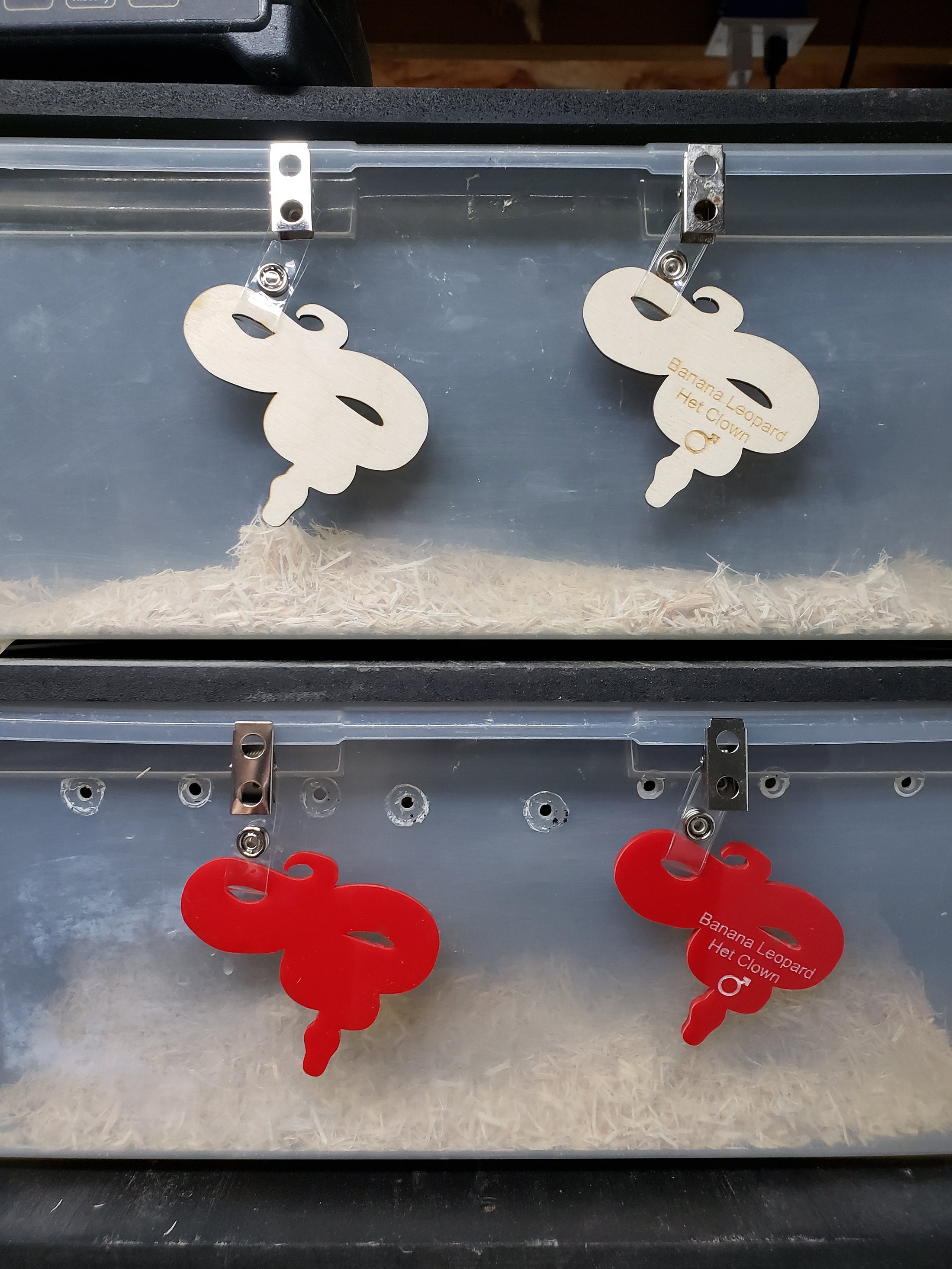 Snake Tags for Caging - Customizable and Stylish Reptile Enclosure ...