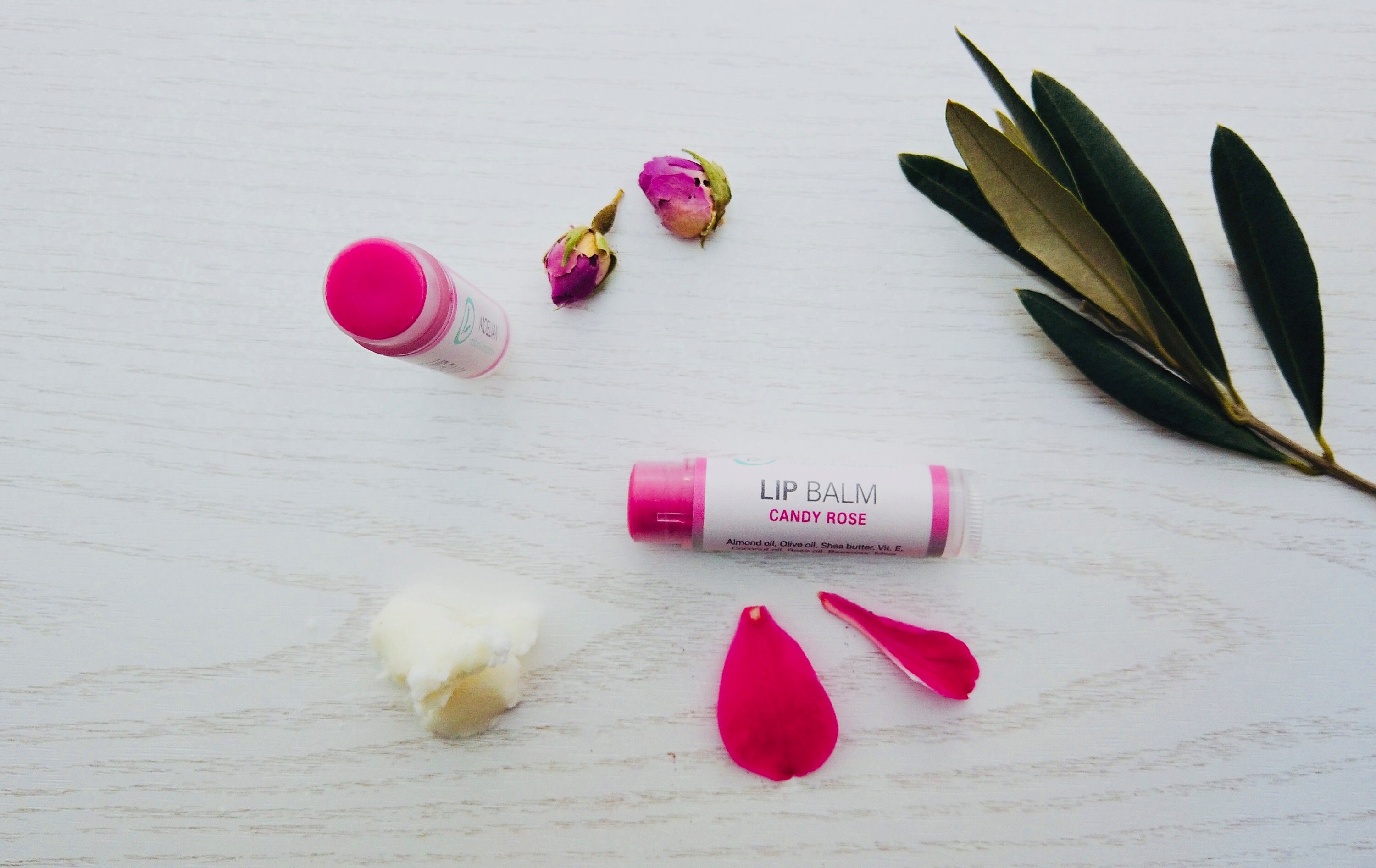 Rose Lip Balm, Natural Lip Care, Olive Oil Lip Balm, Organic Beauty ...