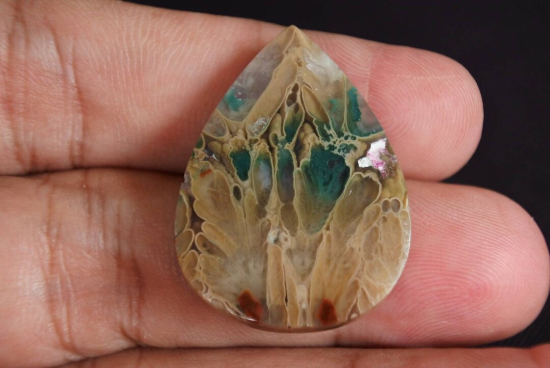 Plume Blue Opalized Petrified Wood Multycolor Rare - Etsy