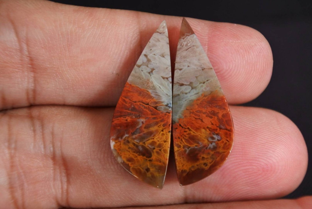 Plume Opalized Petrified Wood Multycolor Pair - Etsy