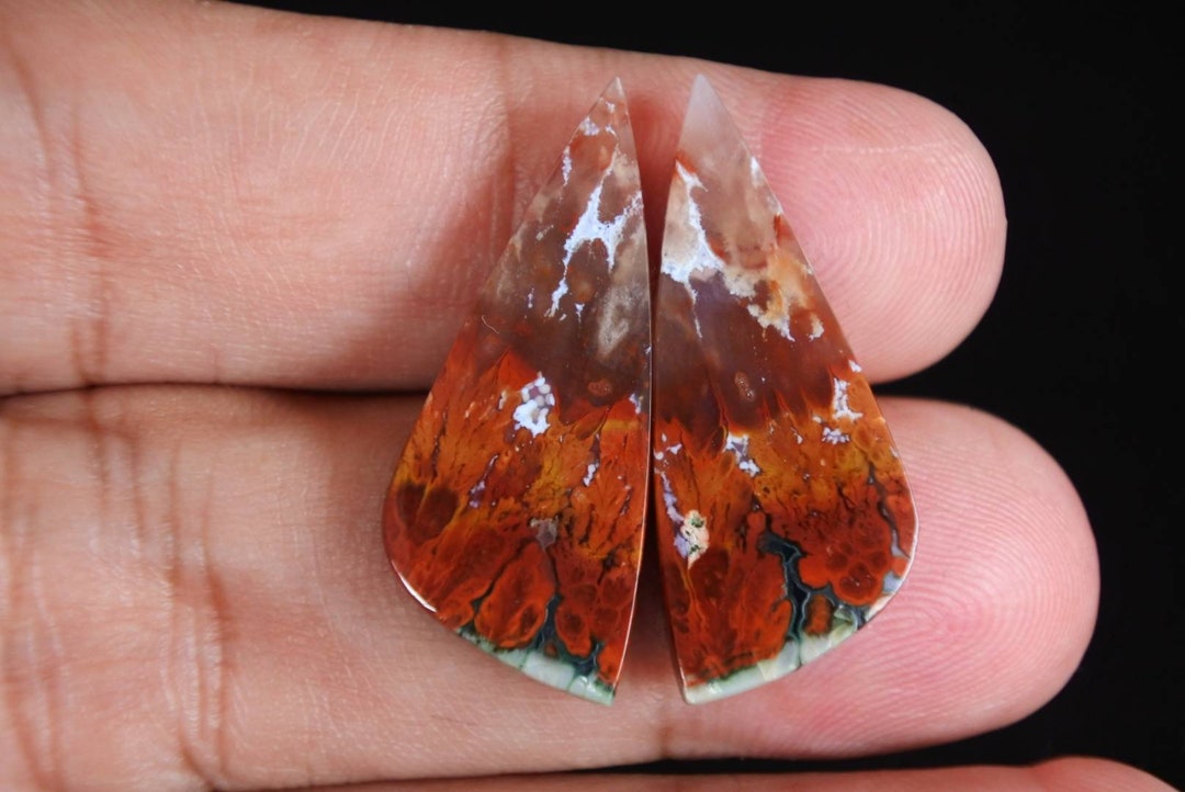 Plume Opalized Petrified Wood Multycolor Pair - Etsy