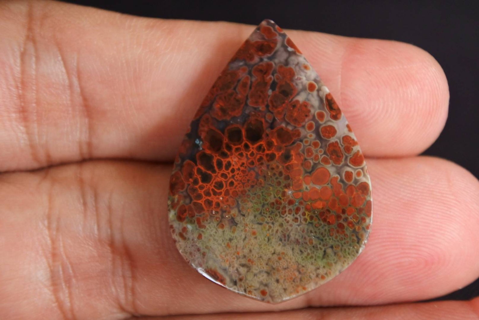 Opalized Petrified Wood Multycolor Plume Rare - Etsy