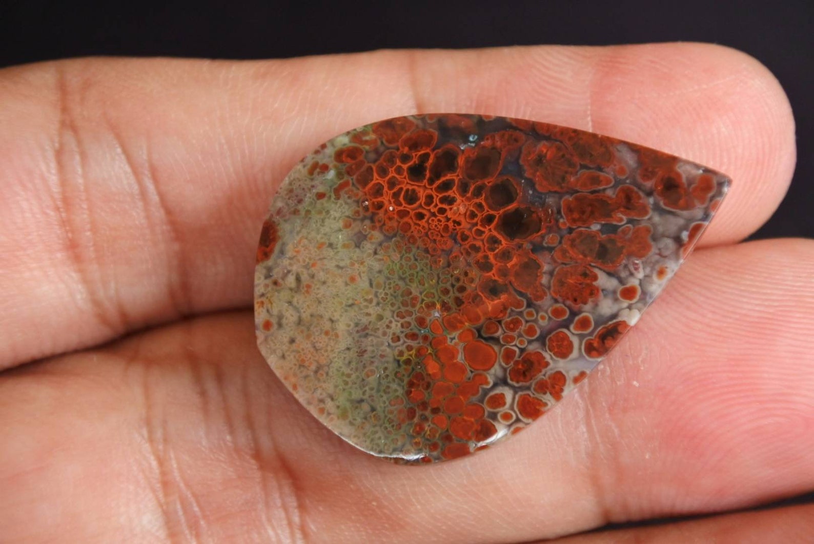 Opalized Petrified Wood Multycolor Plume Rare - Etsy