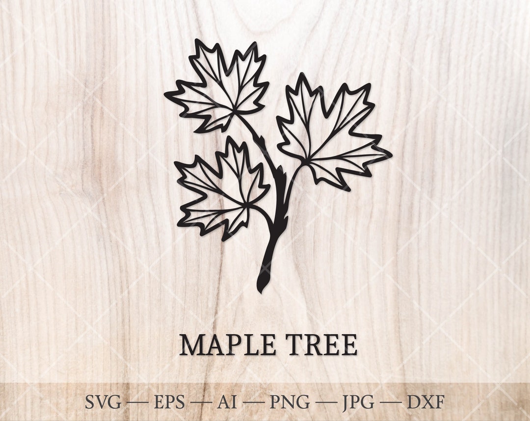 Maple Tree SVG. Birth Trees SVG. Birth Month Tree Outline Drawing ...
