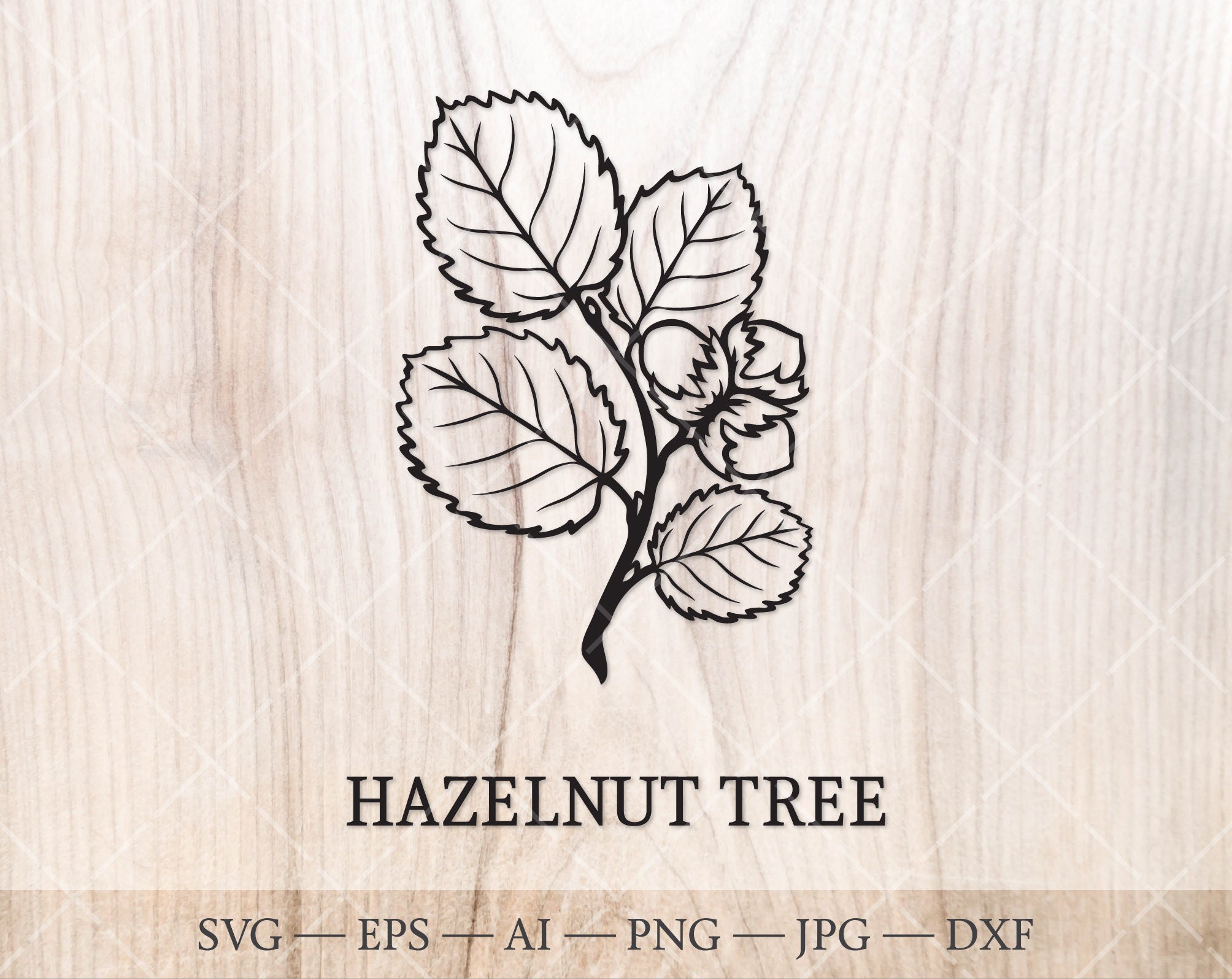 Hazelnut Tree SVG. Birth Trees SVG. Birth Month Tree Outline | Etsy