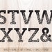 Floral Initial Svg Bundle. 26 Flower Svg Monograms. for Cricut ...