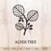 Alder Tree SVG. the Celtic Zodiac Birth Tree SVG. Birth Month Tree ...