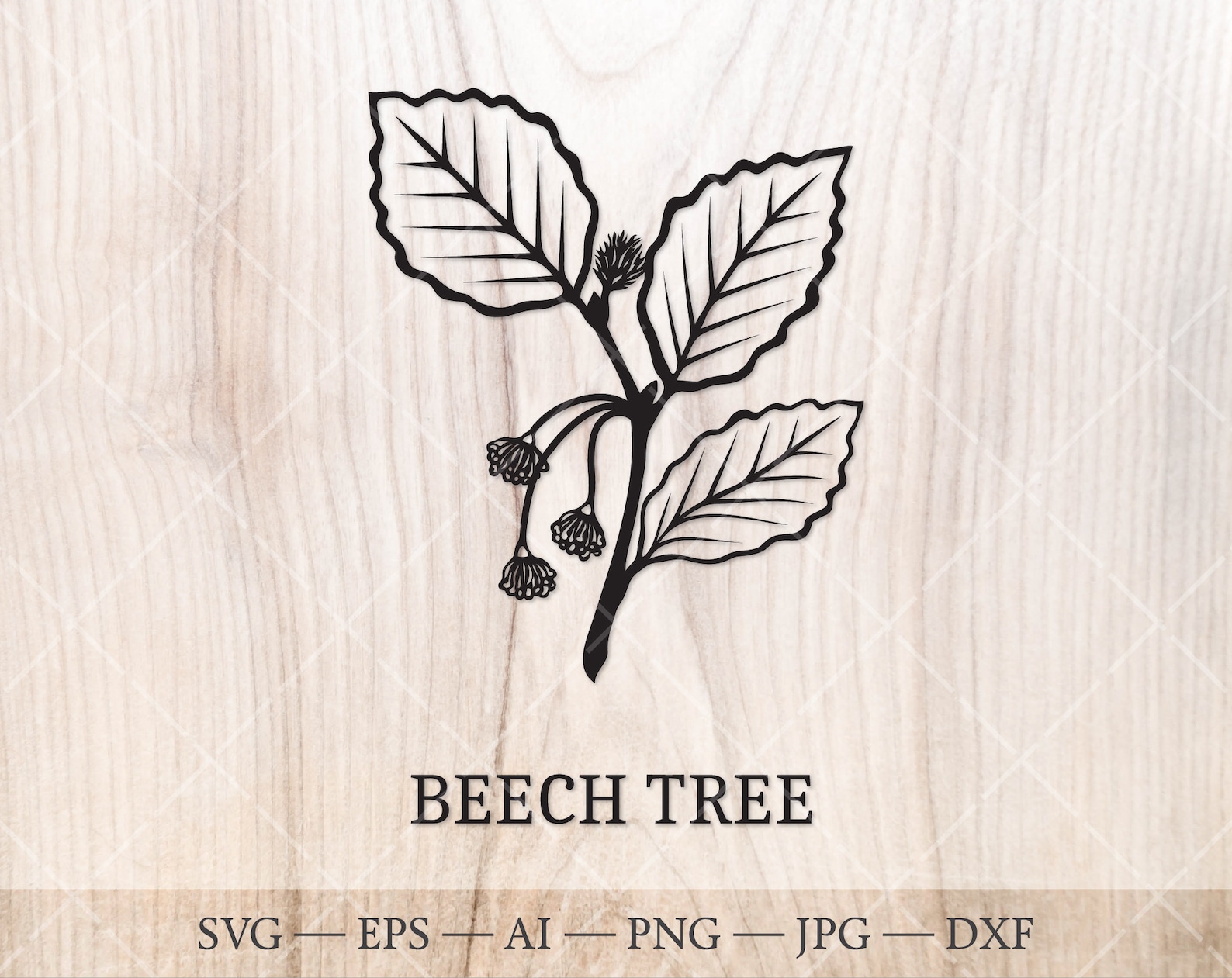 Beech Tree SVG. Birth Trees SVG. Birth Month Tree Outline - Etsy