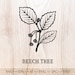 Beech Tree SVG. Birth Trees SVG. Birth Month Tree Outline Drawing ...