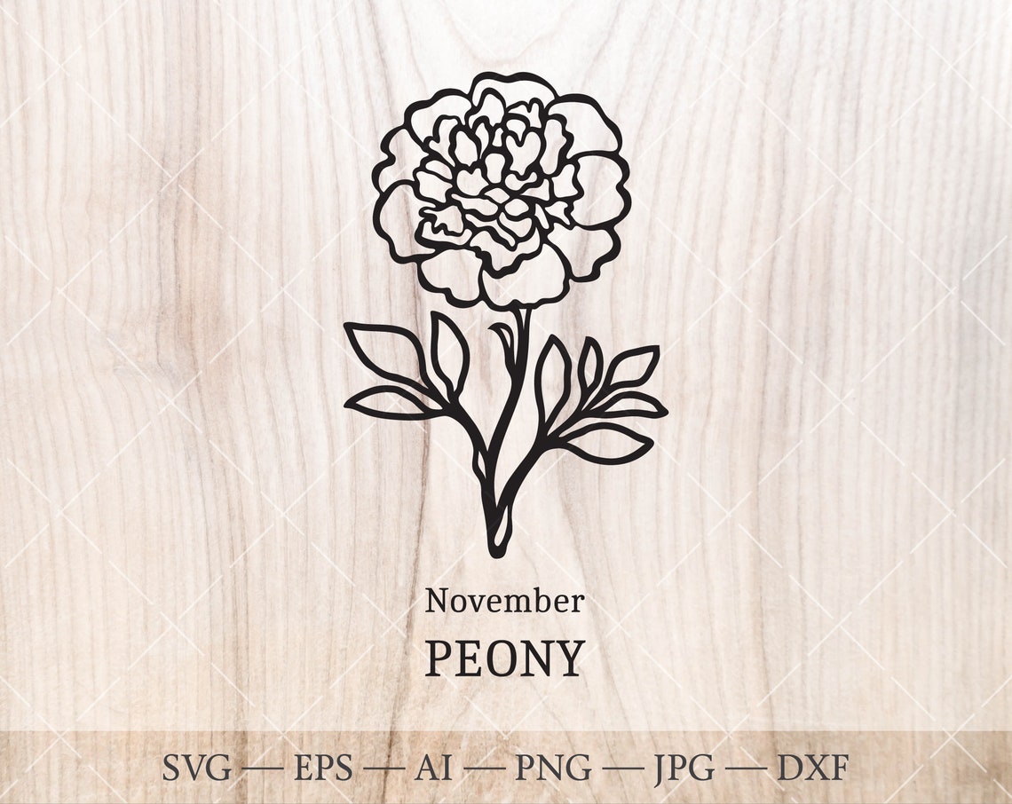 Peony SVG November Birth Flower SVG. Birth Month Flower Peony - Etsy Canada
