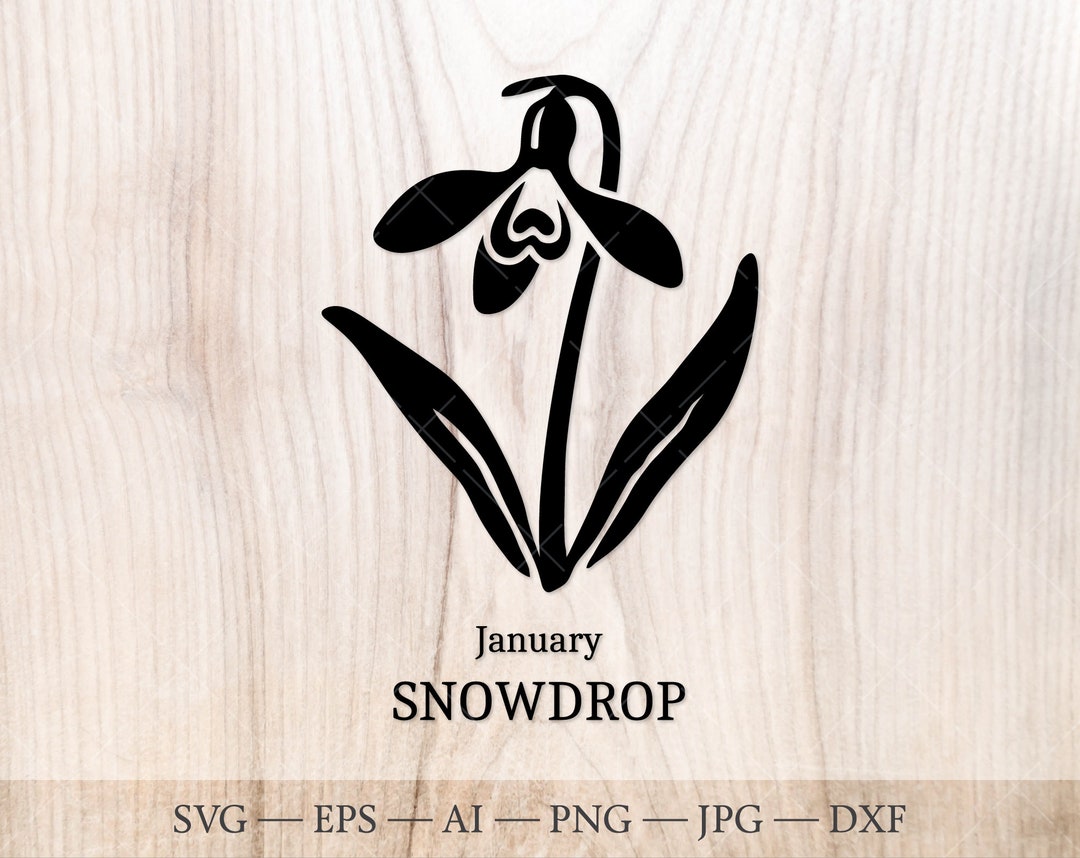 Snowdrop SVG, January Birth Flower SVG. Birth Month Flower Nowdrop ...