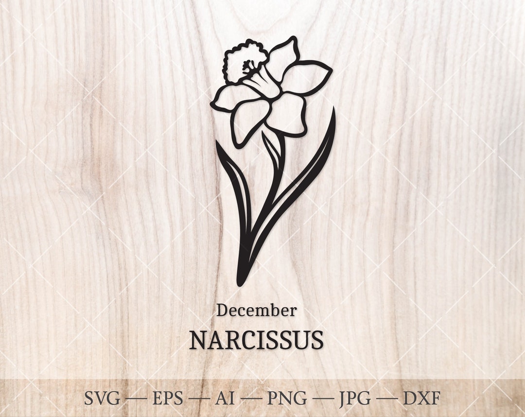 Narcissus SVG, December Birth Flower SVG. Birth Month Flower Narcissus ...