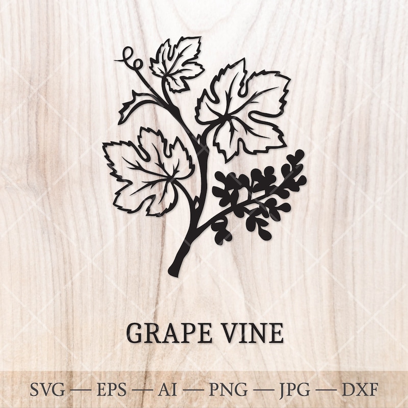 Vine Svg - Etsy