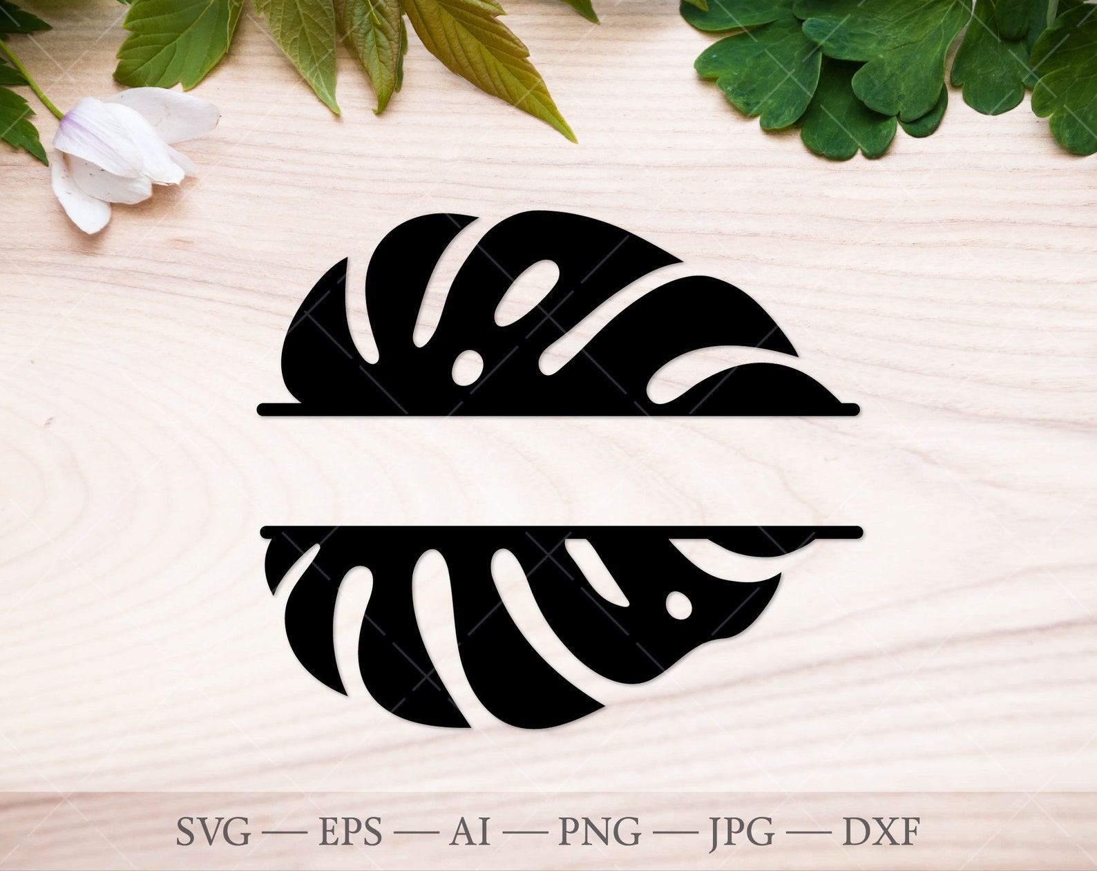Monstera Svg Monstera Monogram SVG. Monstera Leaf SVG Cutting - Etsy