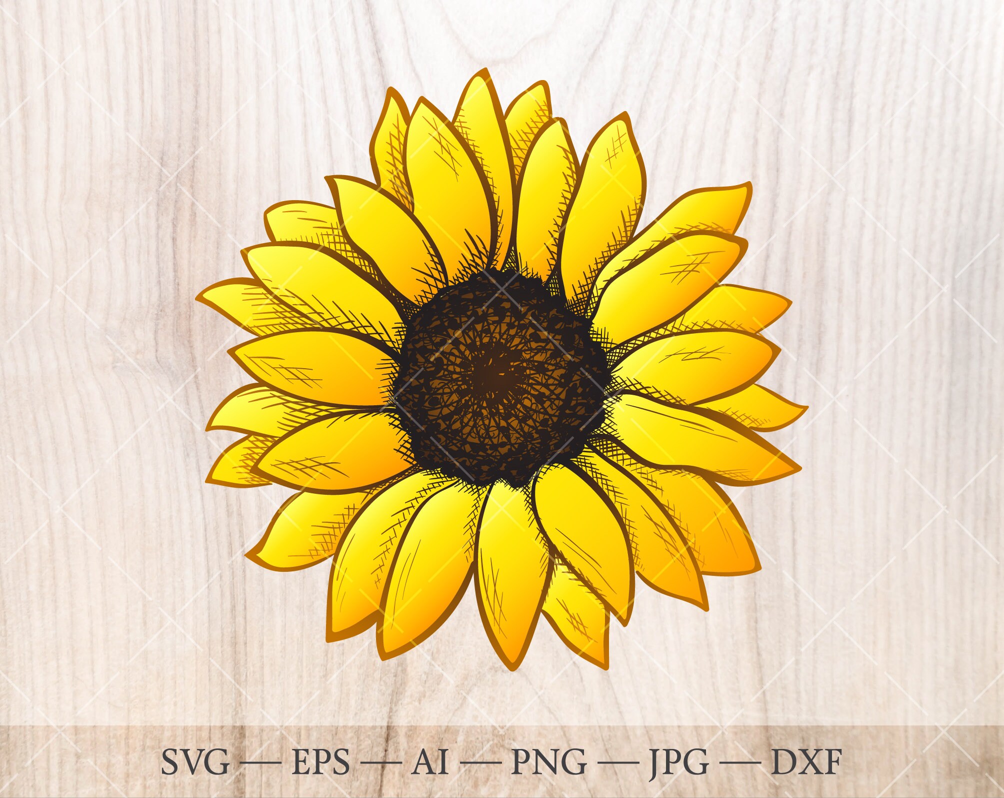 Sunflower SVG. Sunflower Clipart. Hand Drawn Sketch Flower | Etsy