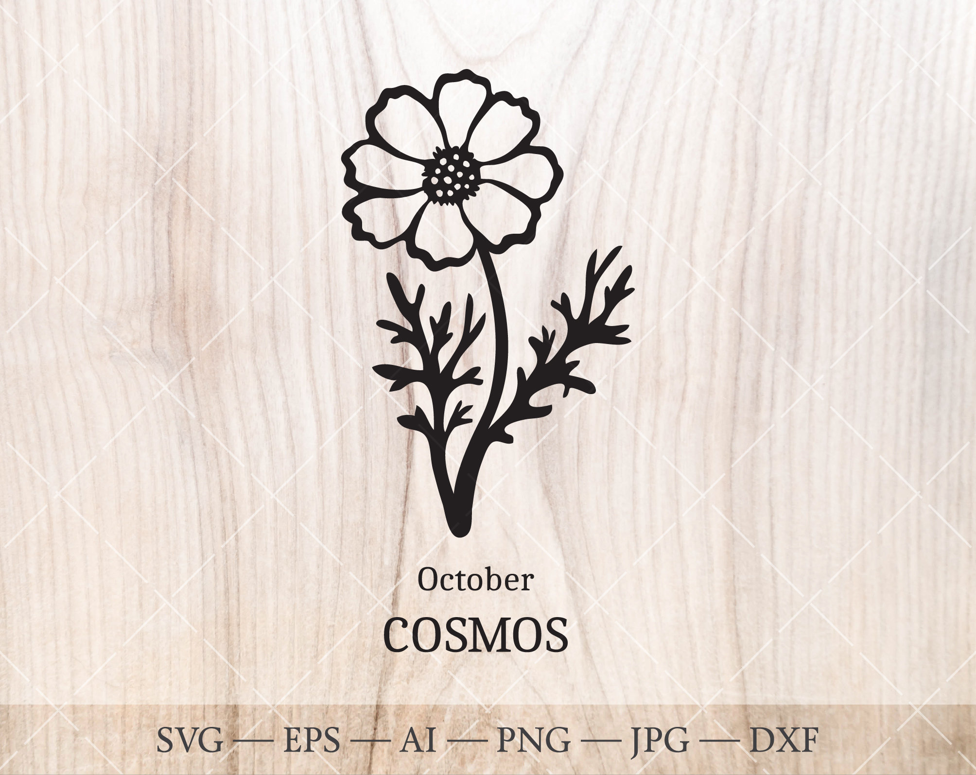 Cosmos SVG, October Birth Flower SVG. Birth Month Flower Cosmos Drawing ...
