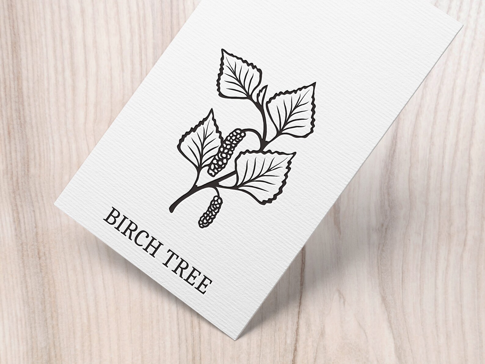 Birth Trees SVG Bundle. 21 Birth Month Tree Outline Drawings. - Etsy