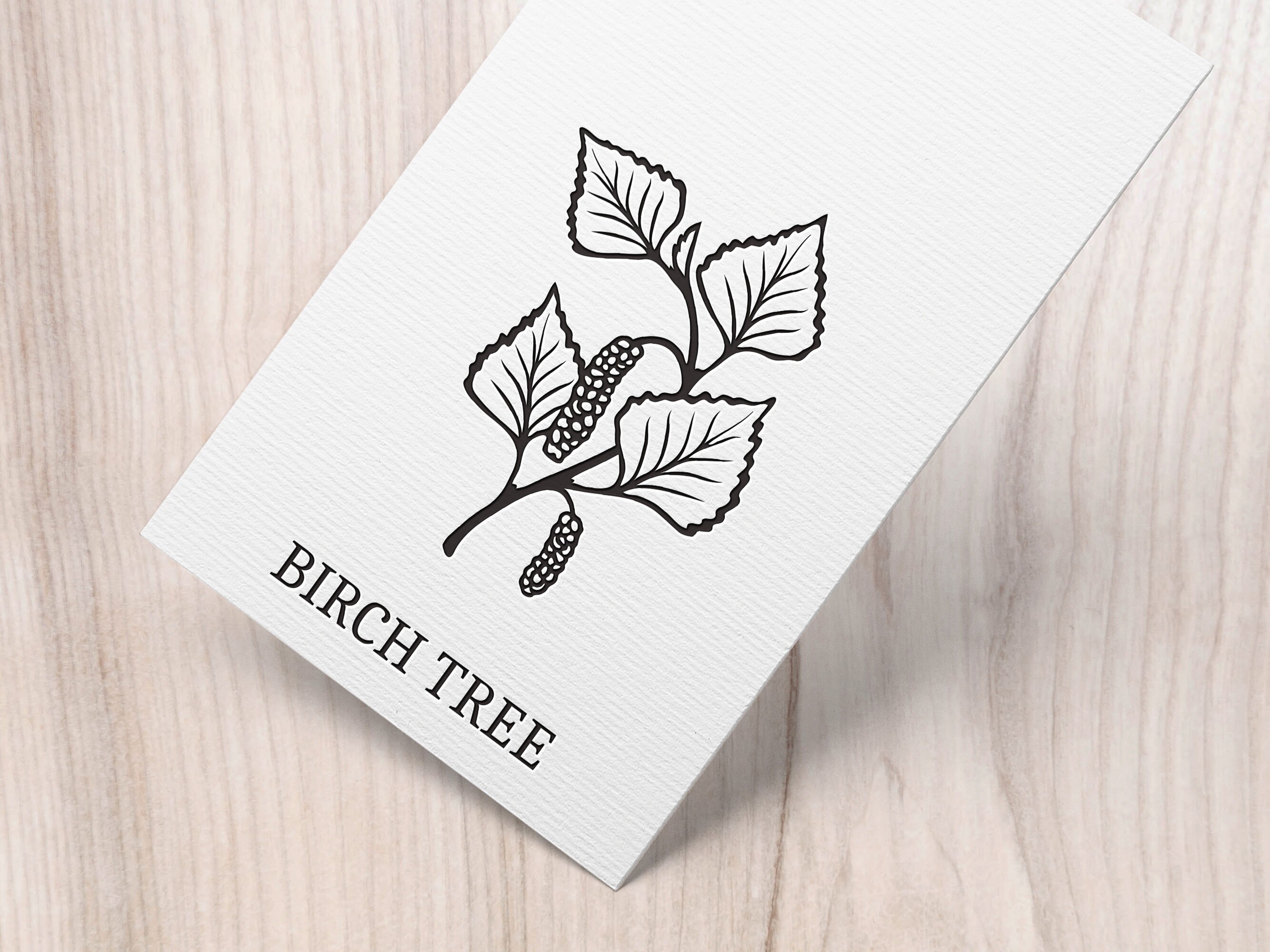 Birth Trees SVG Bundle. 21 Birth Month Tree Outline Drawings. - Etsy Canada