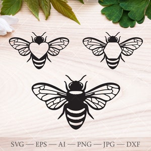 Honey Bee Monogram Svg. Bumblebee Monogram Frame Svg, Bee Heart Svg ...