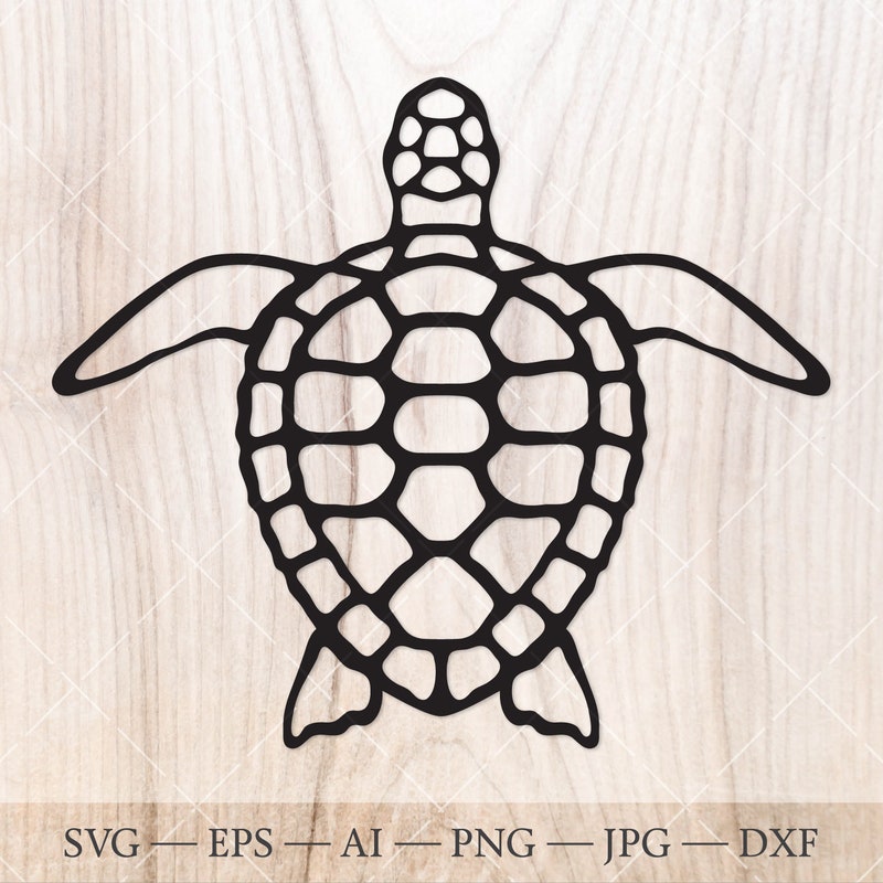 Turtle Svg - Etsy