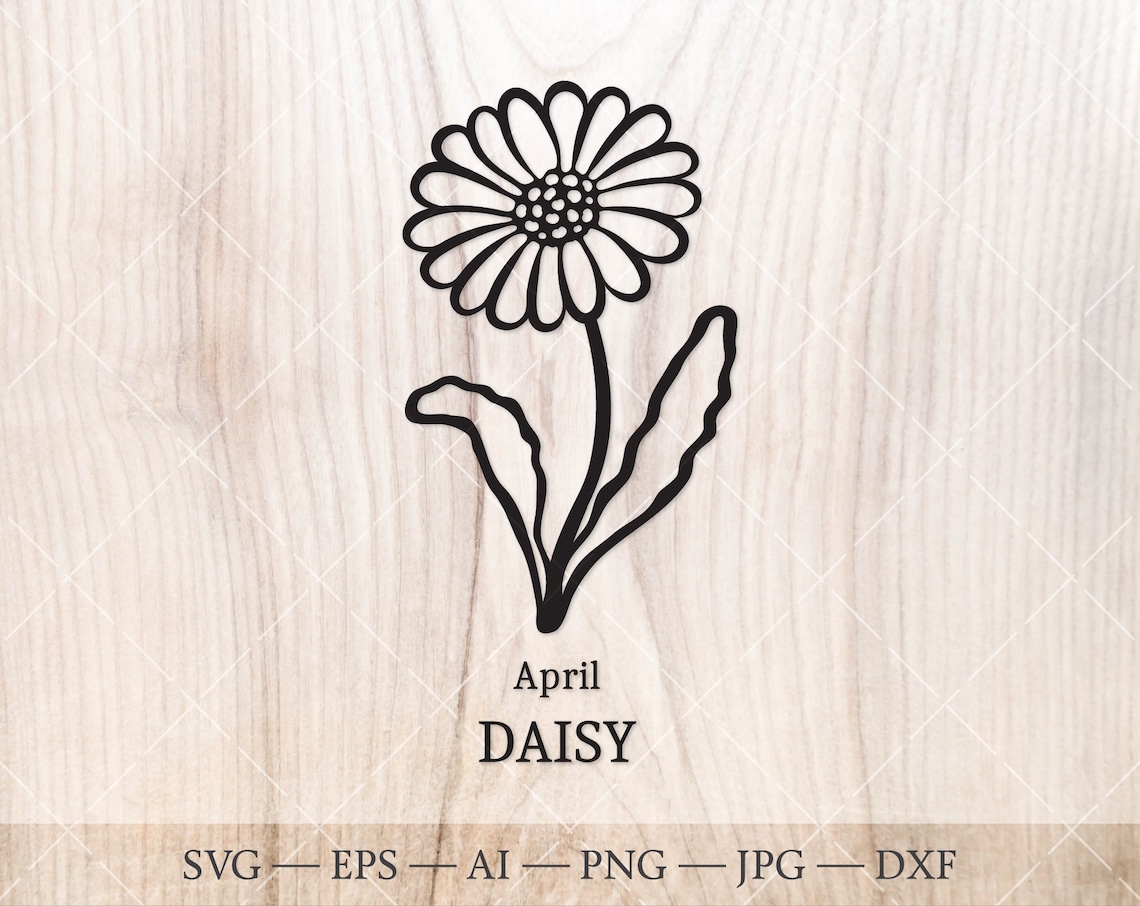 Daisy Svg April Birth Flower Svg Birth Month Flower Drawing Etsy