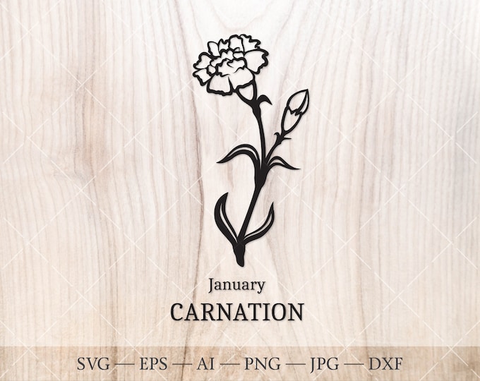 Birth Month Flowers SVG January Birthday Flower Png, Carnation Graphic ...