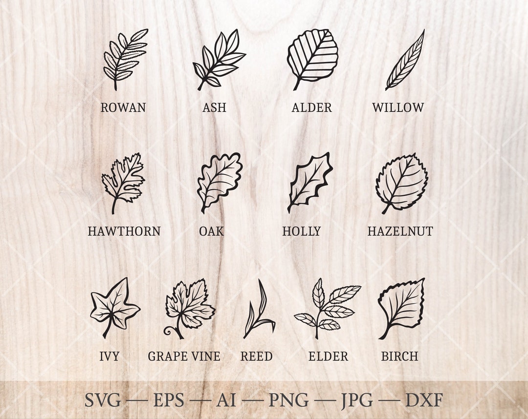 Celtic Tree Calendar SVG. 13 Birth Tree Leaves SVG. Birth Month Tree ...