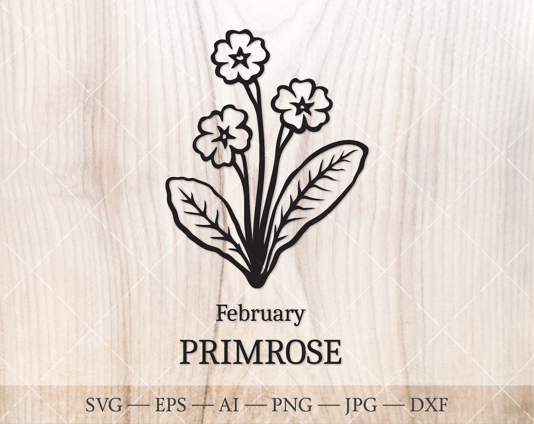 Primrose SVG, February Birth Flower SVG. Birth Month Flower Drawing ...
