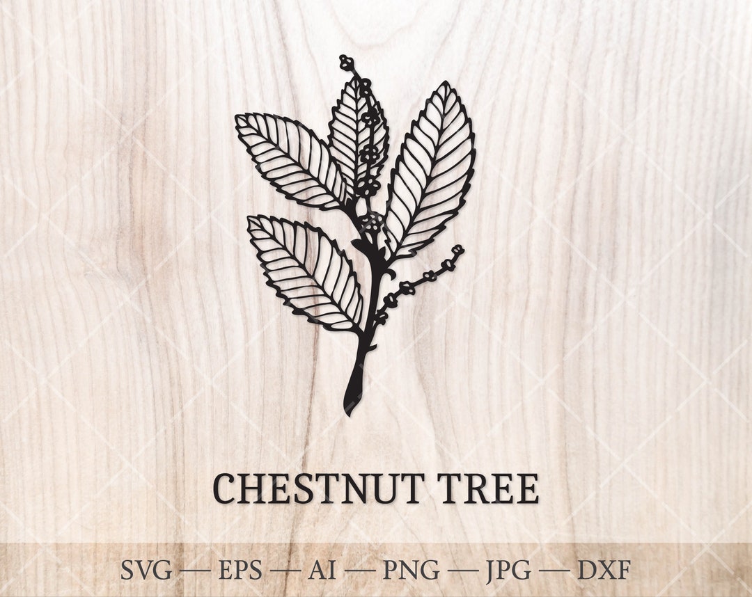 Chestnut Tree SVG. Birth Trees SVG. Birth Month Tree Outline Drawing ...