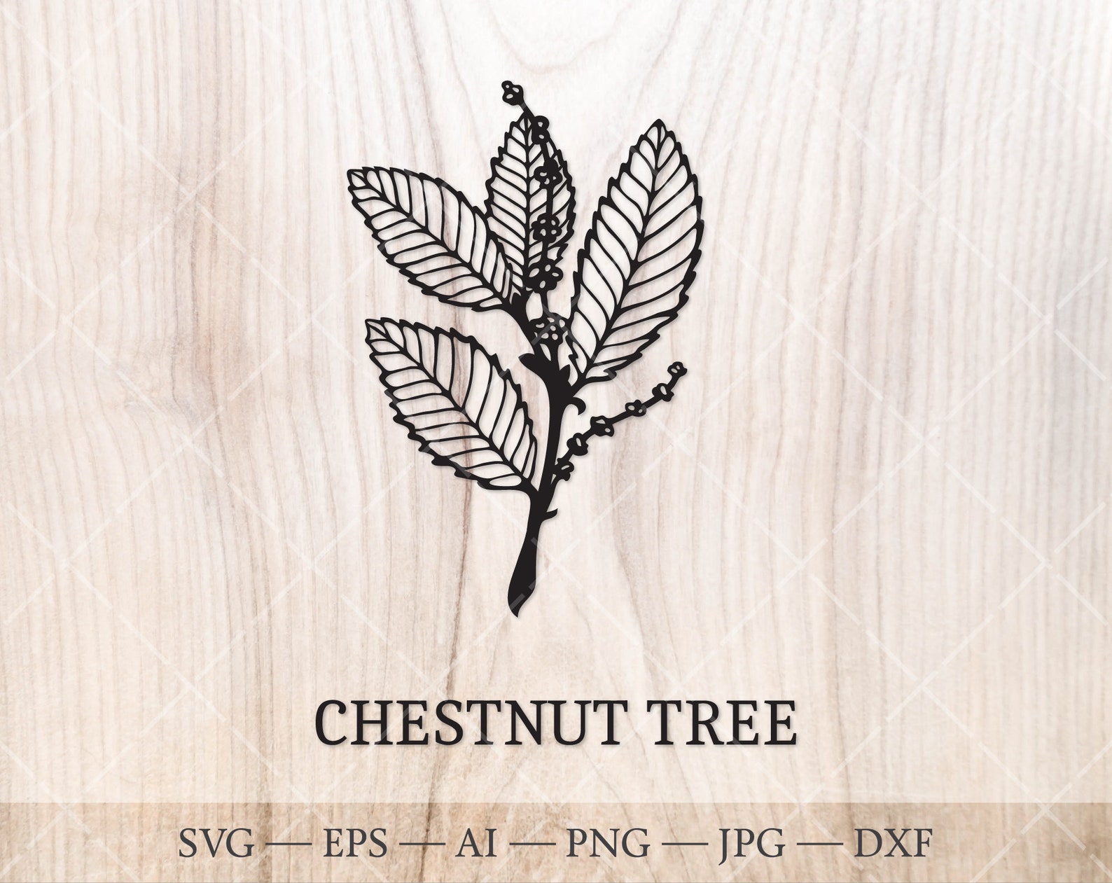 Chestnut Tree SVG. Birth Trees SVG. Birth Month Tree Outline Drawing ...