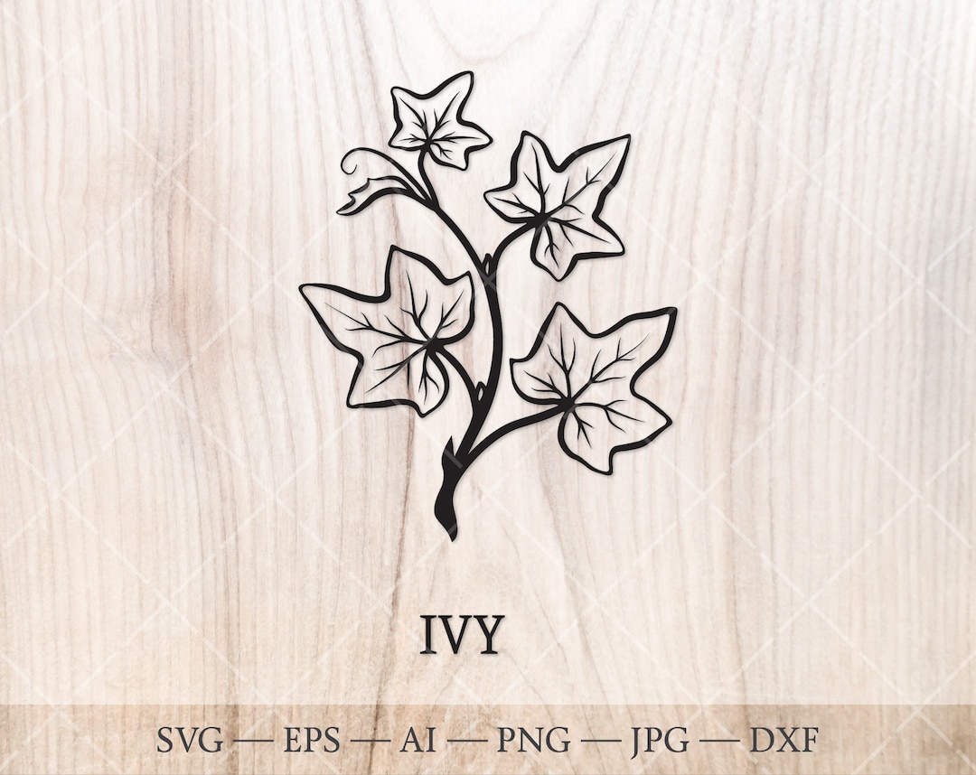 Ivy SVG (hedera Helix). the Celtic Zodiac Birth Tree SVG. Birth Month ...