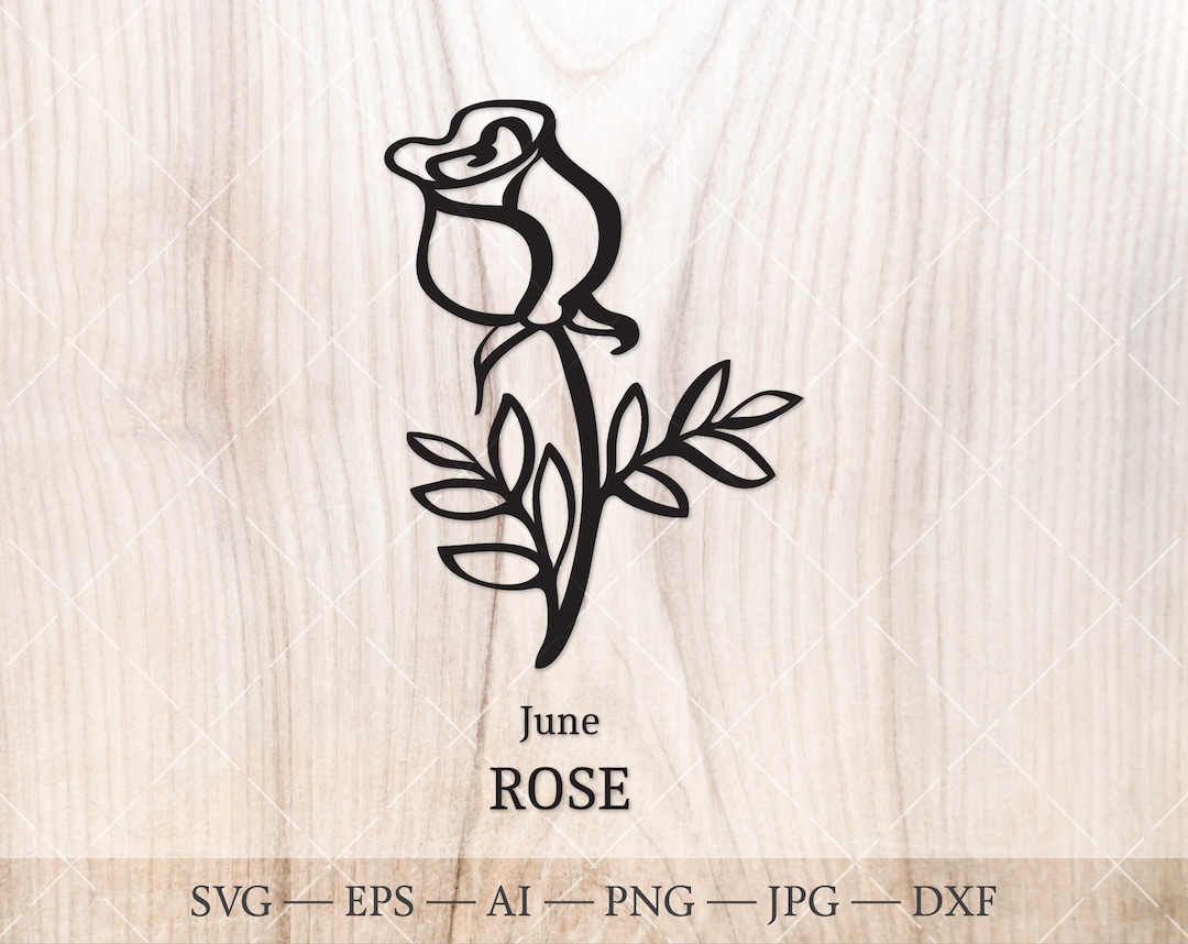 Rose SVG, June Birth Flower SVG. Birth Month Flower Outline Drawing ...