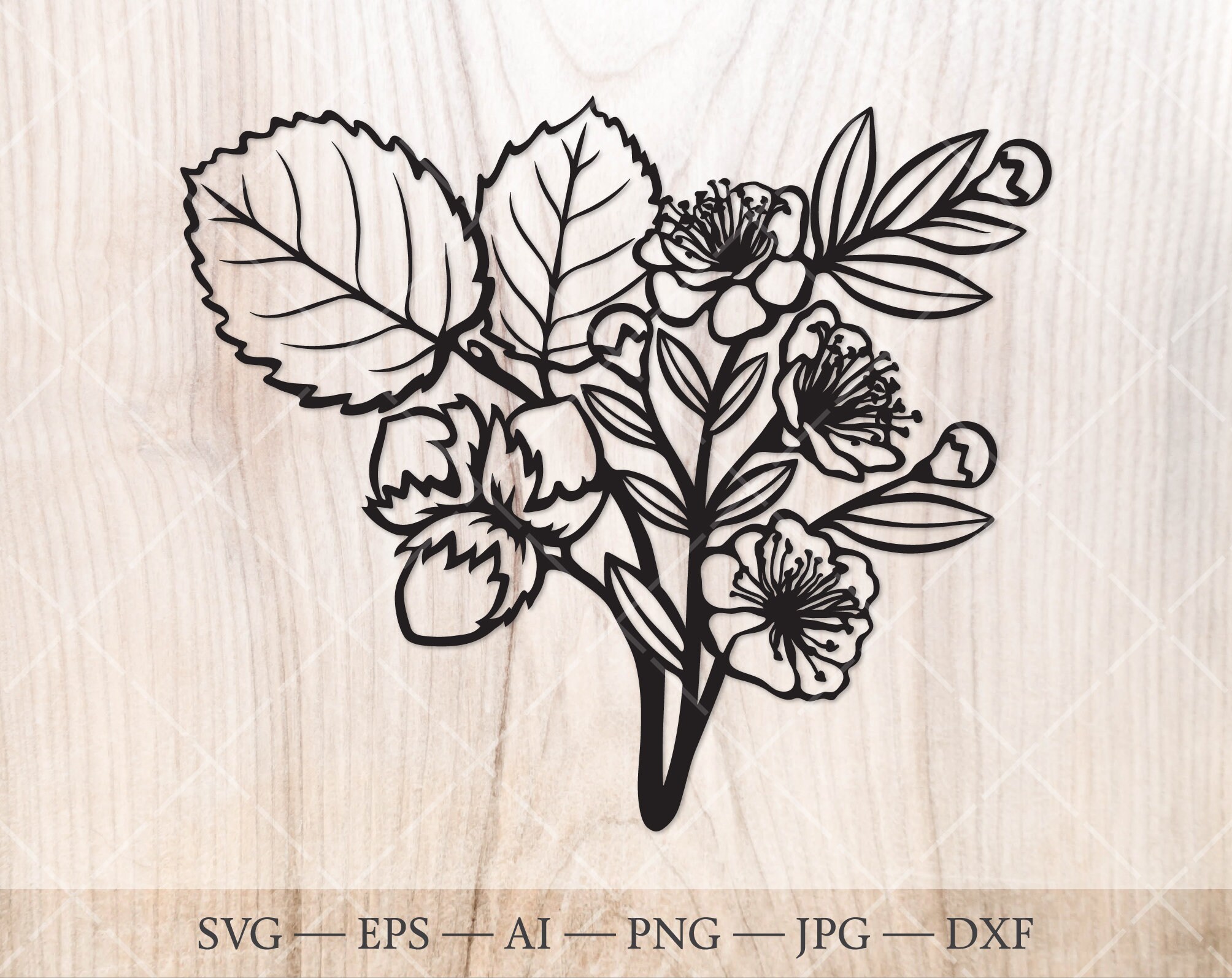 Hazelnut Tree Drawing