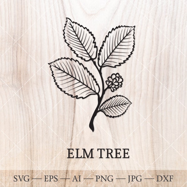 Elm Tree - Etsy