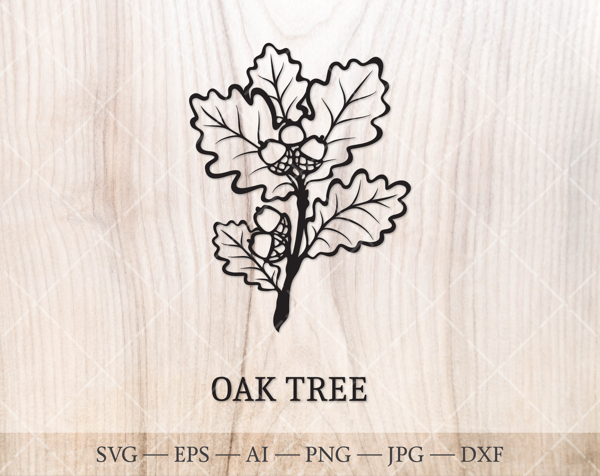 Drawing Oak Tree Clip Art