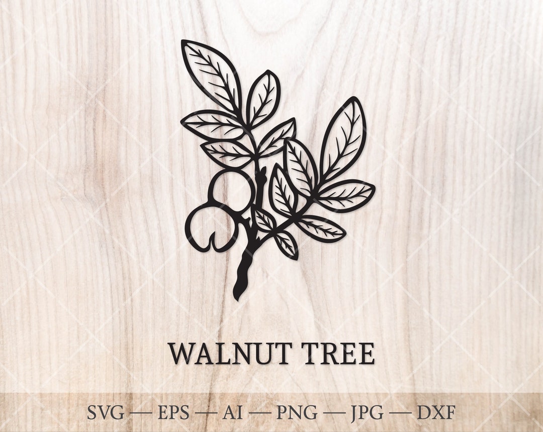 Walnut Tree SVG. Birth Trees SVG. Birth Month Tree Outline Drawing ...