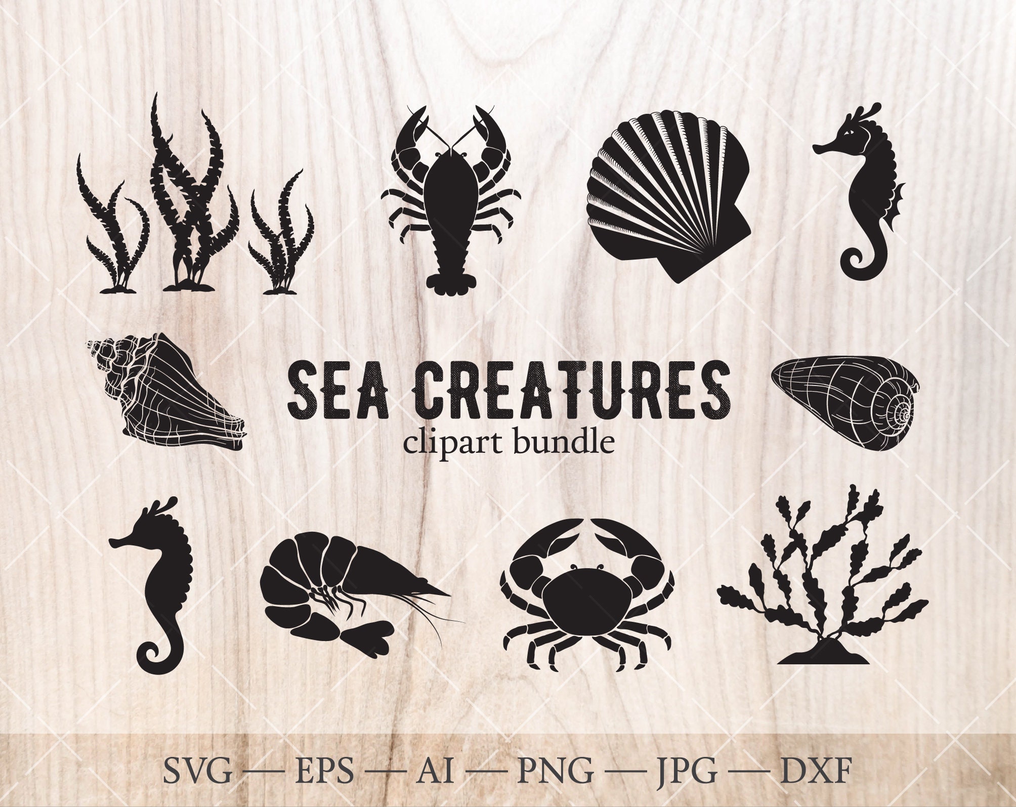 Sea creatures SVG Set. Under the sea clipart. Ocean life svg. | Etsy