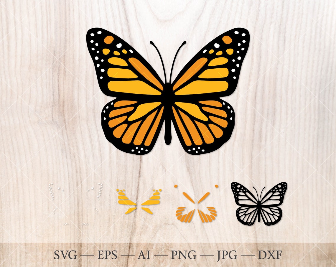 Monarch Butterfly SVG Layered Butterfly SVG Cut File. - Etsy
