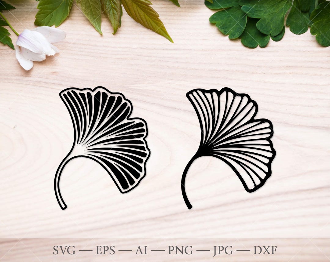 Ginkgo Leaf SVG, Tree Leaf Gingko SVG Clipart, Botanical Leaf Cut File ...