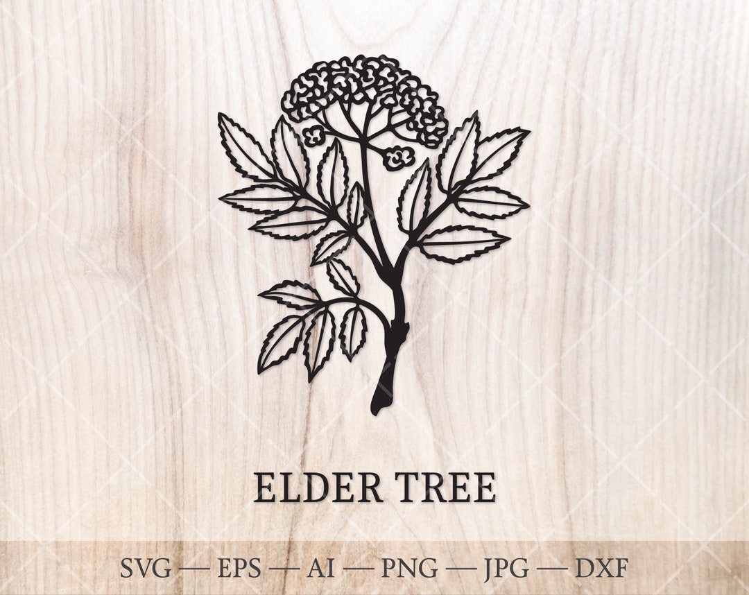 Elder Tree SVG. Birth Trees SVG. Celtic Tree Calendar. Birth Month Tree ...