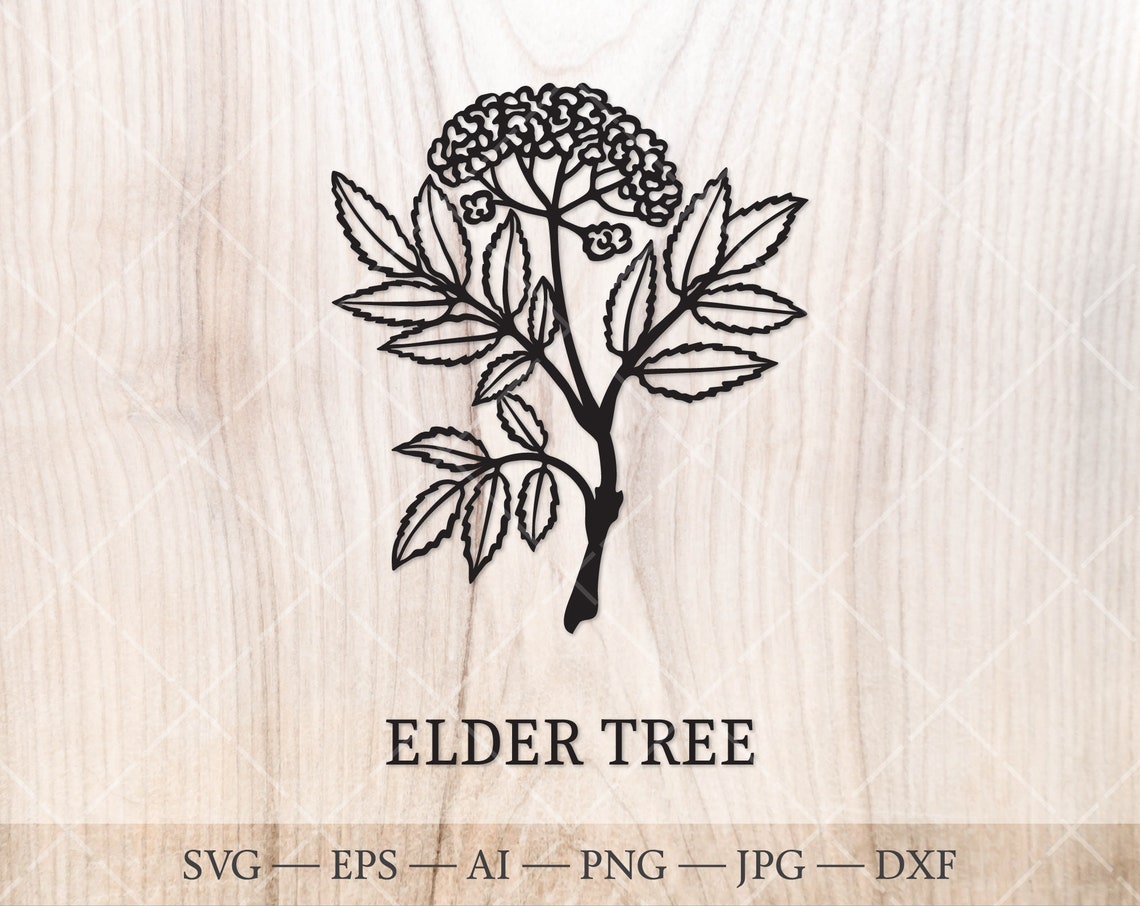 Elder Tree SVG. Birth Trees SVG. Celtic Tree Calendar. Birth - Etsy