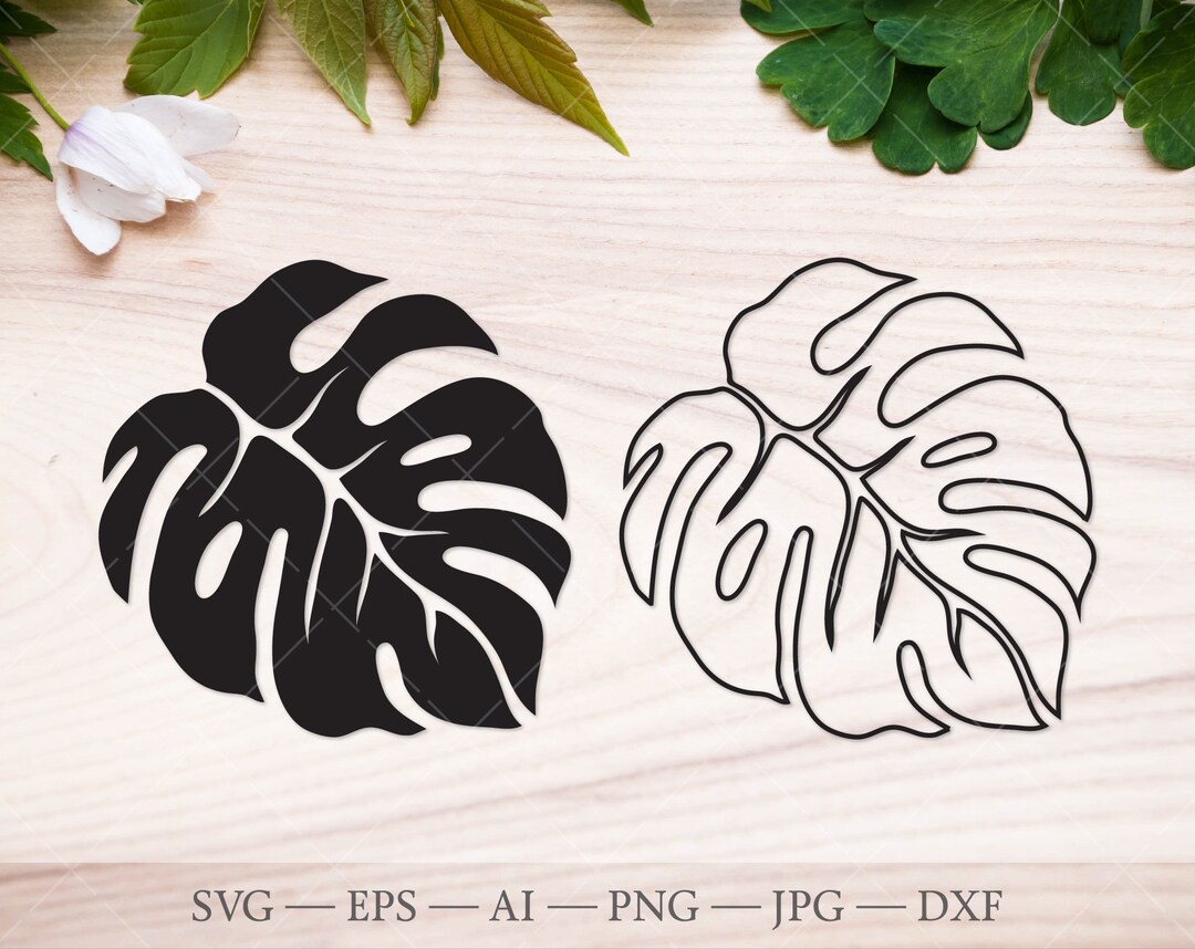 Monstera Svg, Monstera Leaf SVG Cutting File, Monstera Outline ...