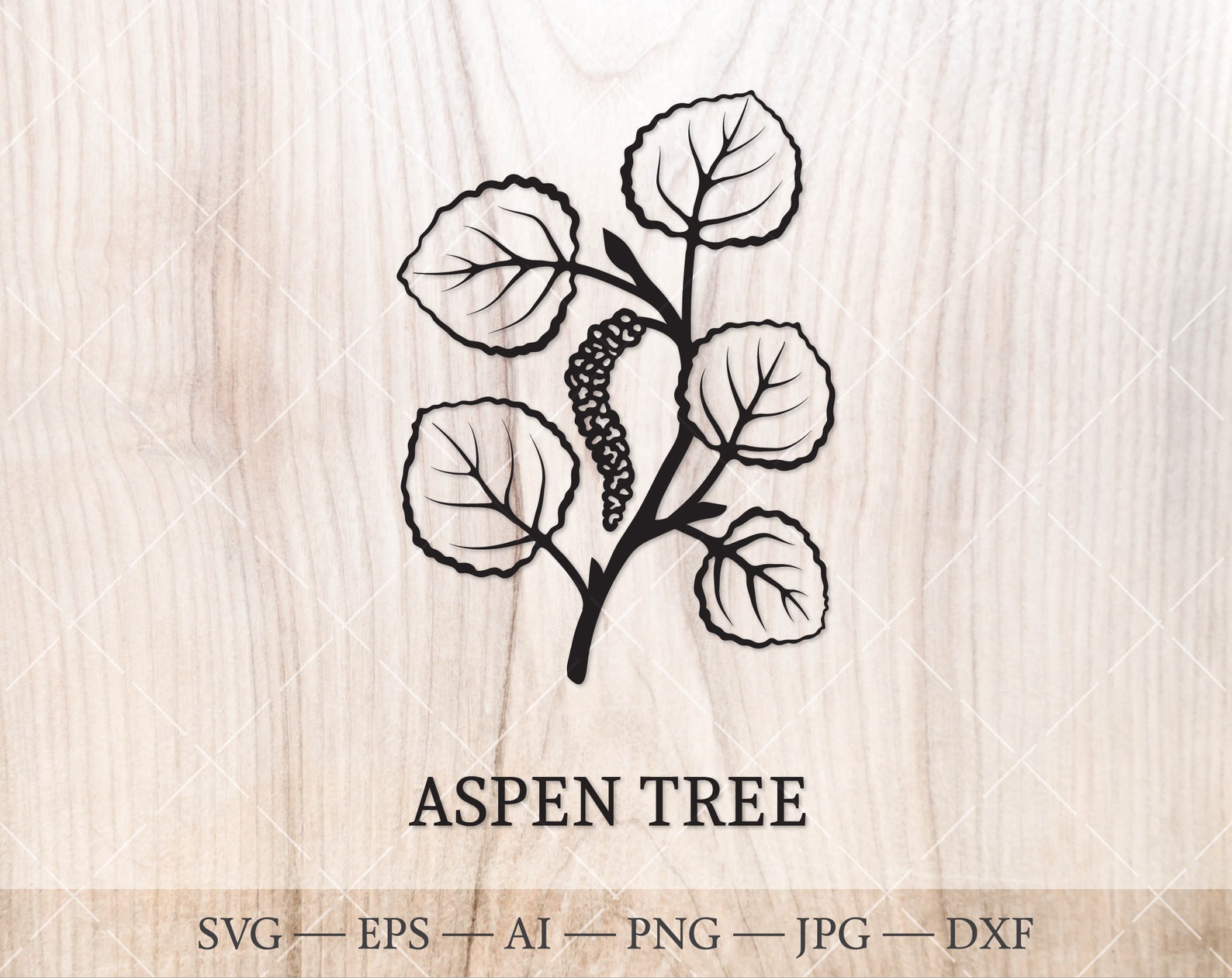 Aspen Tree SVG. Birth Trees SVG. Birth Month Tree Outline | Etsy