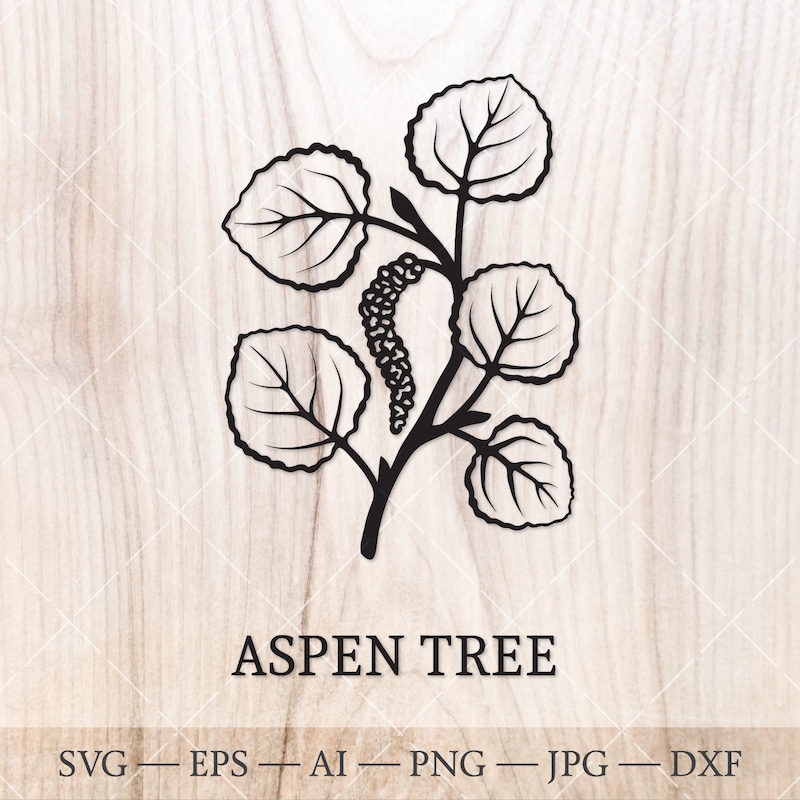 Aspen Tree Svg - Etsy
