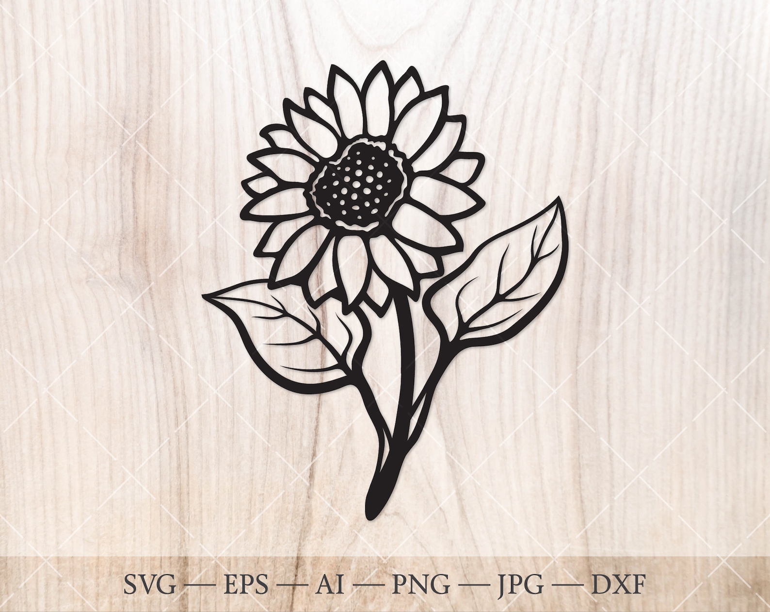 Girasol SVG. Dibujo de silueta de girasol. Esquema de girasol floral ...