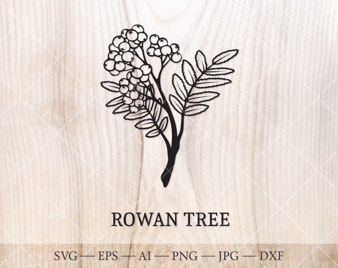 Rowan Tree SVG. Birth Trees SVG. Birth Month Tree Outline Drawing ...
