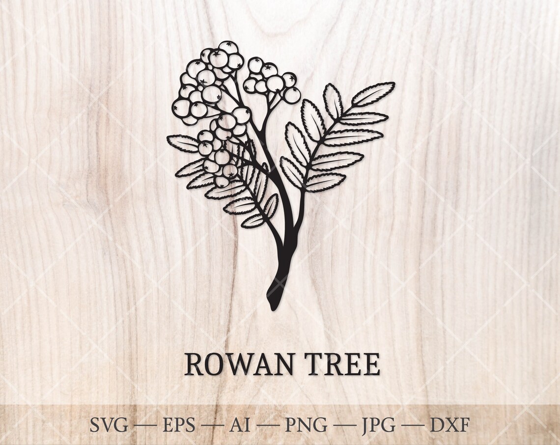 Rowan Tree SVG. Birth Trees SVG. Birth Month Tree Outline | Etsy