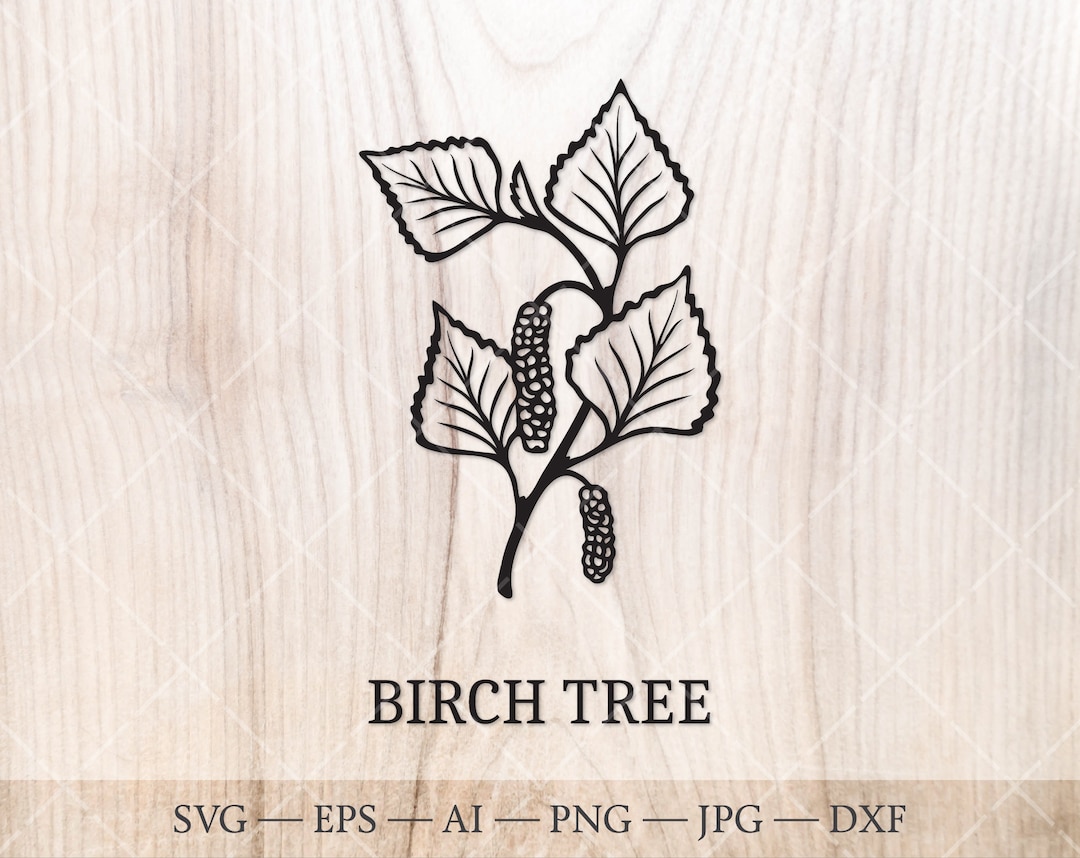 Birch Tree SVG. Birth Trees SVG. Birth Month Tree Outline Drawing. Oak ...