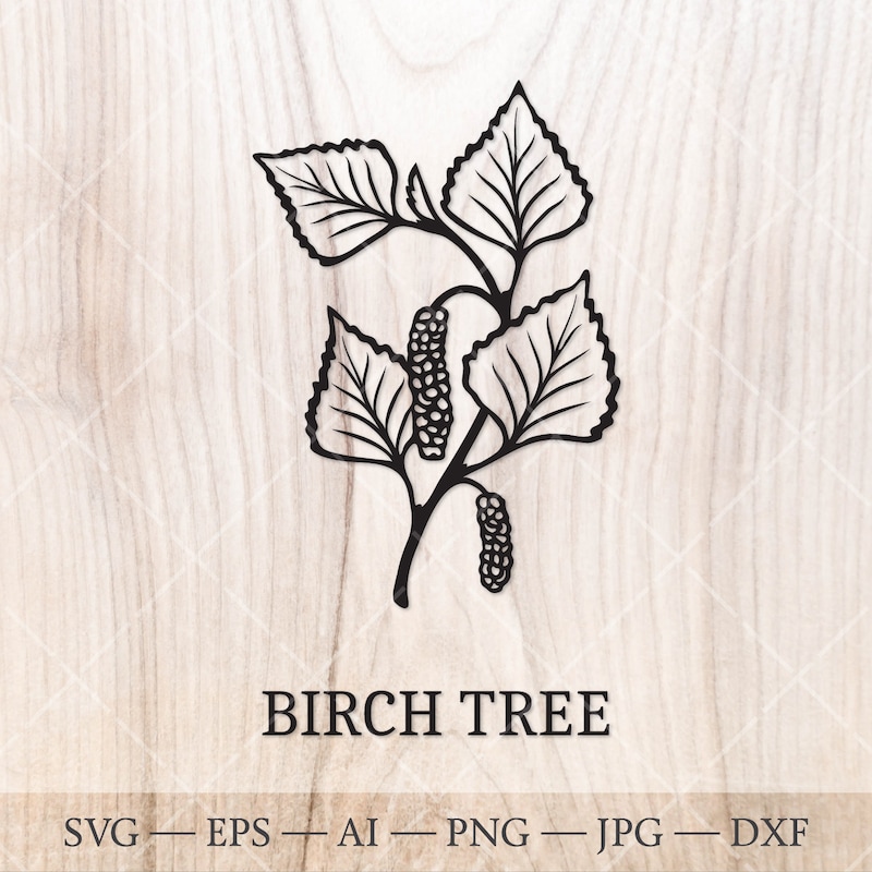 Birch Tree Svg - Etsy
